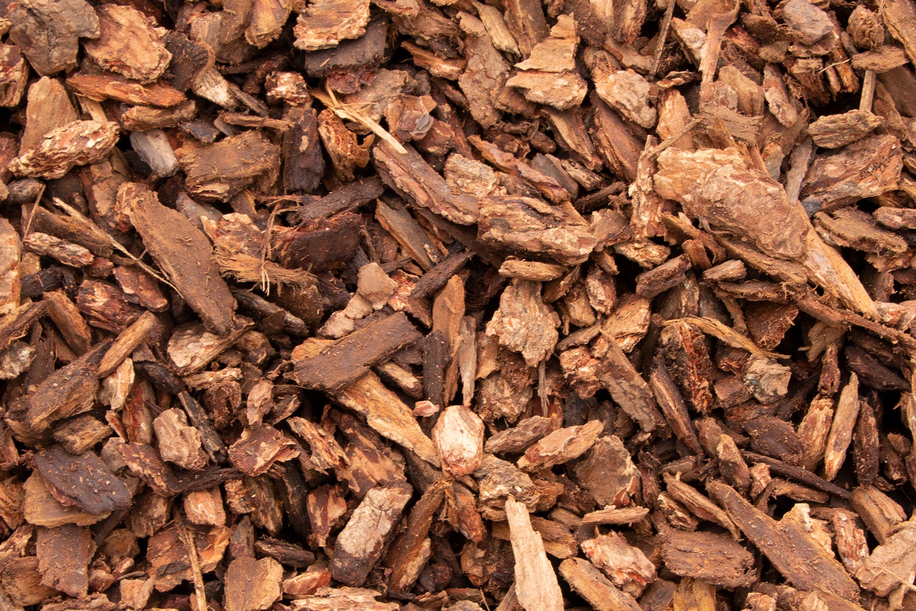 Large Nugget Bark | Bark Ranch