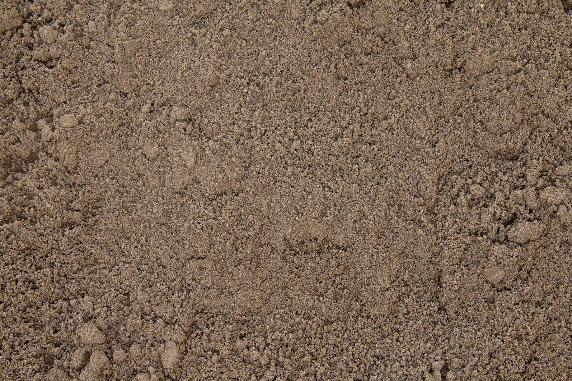 Washed Sand | Bark Ranch