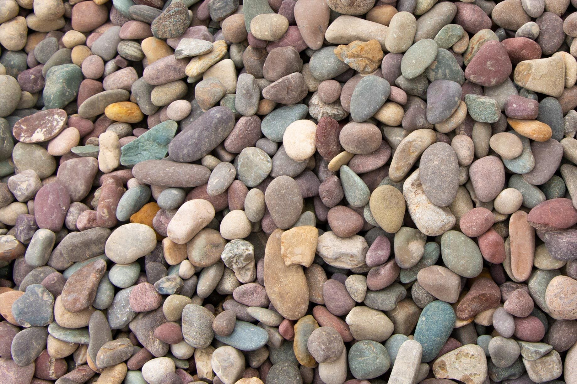 Montana Rainbow Rock | Bark Ranch