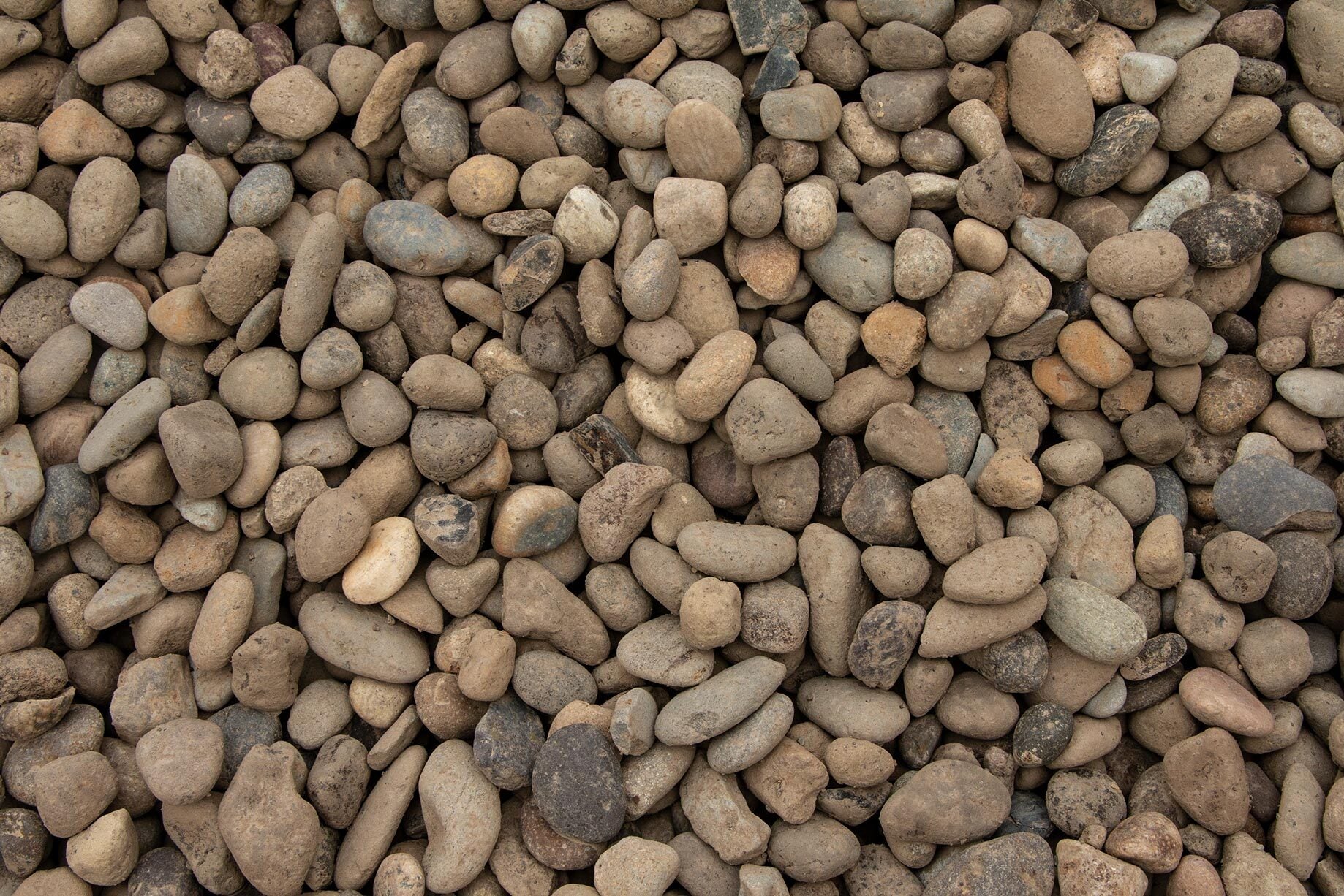 Drain Rock (one and a half inch) | Bark Ranch