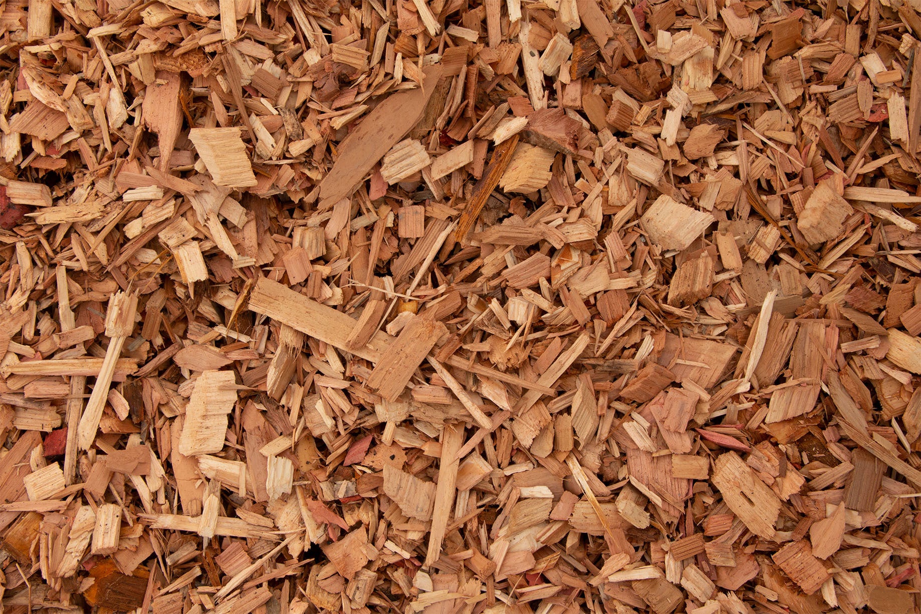 Cedar Chips (large) | Bark Ranch