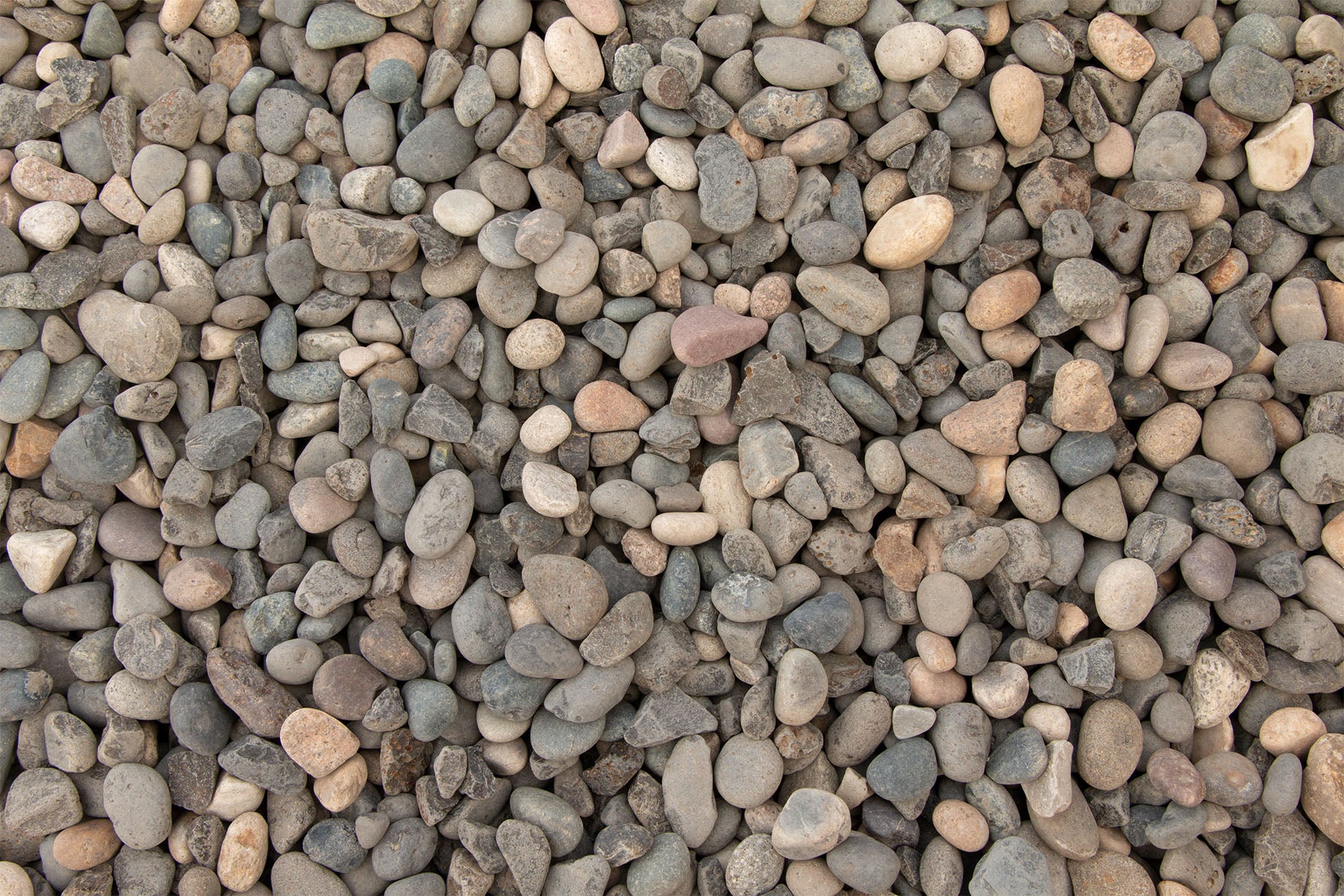 One and a half inch inch Glacier Round Rock | Bark Ranch