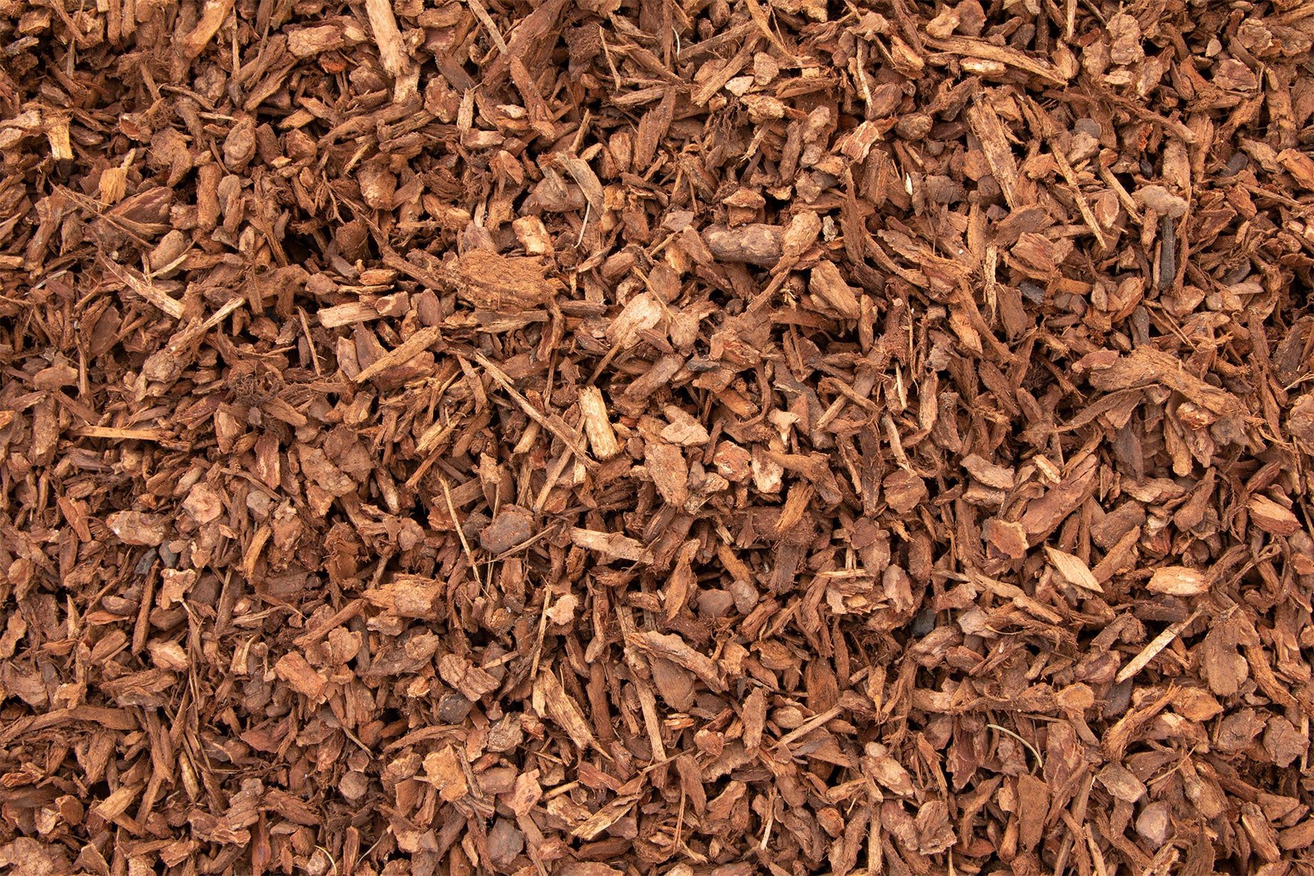 Small Nugget Bark | Bark Ranch