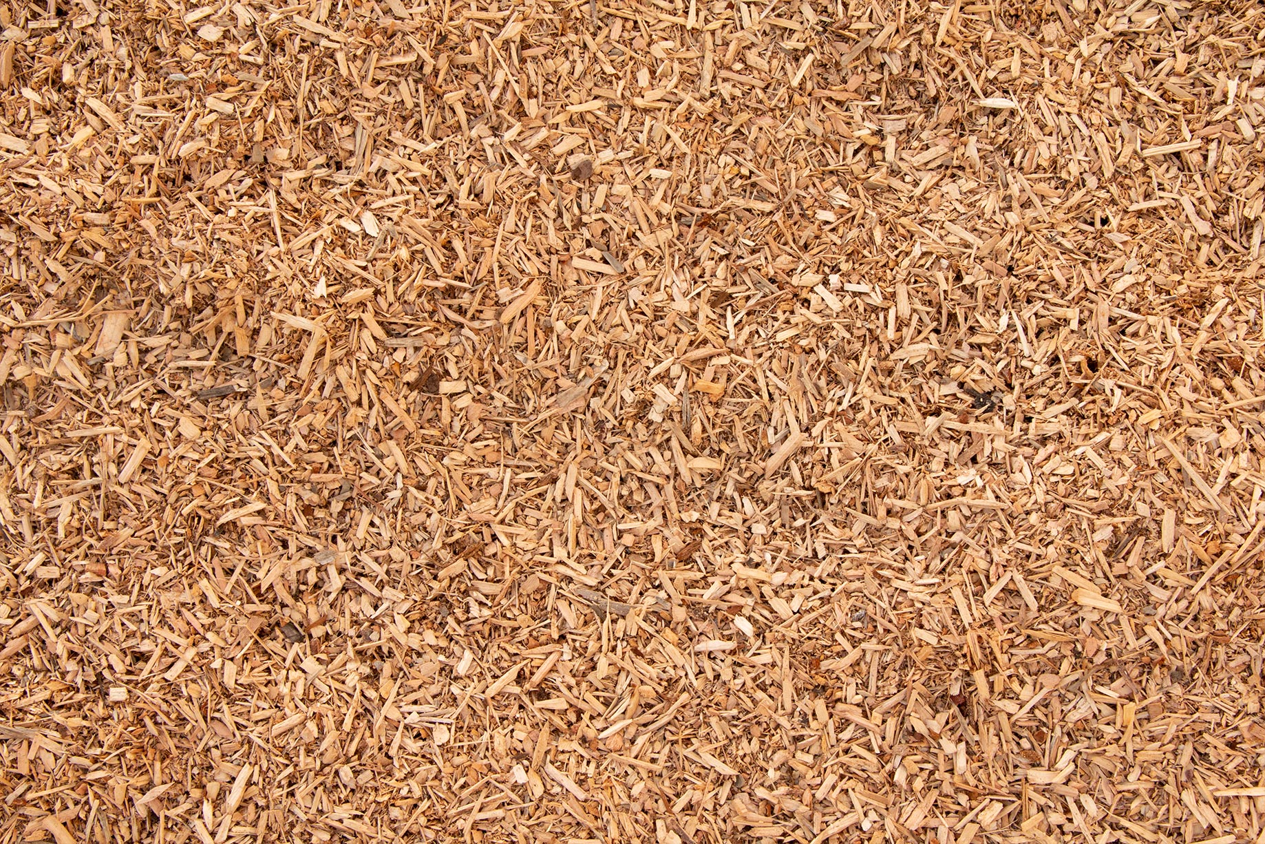 Ranch Mix Chips | Bark Ranch