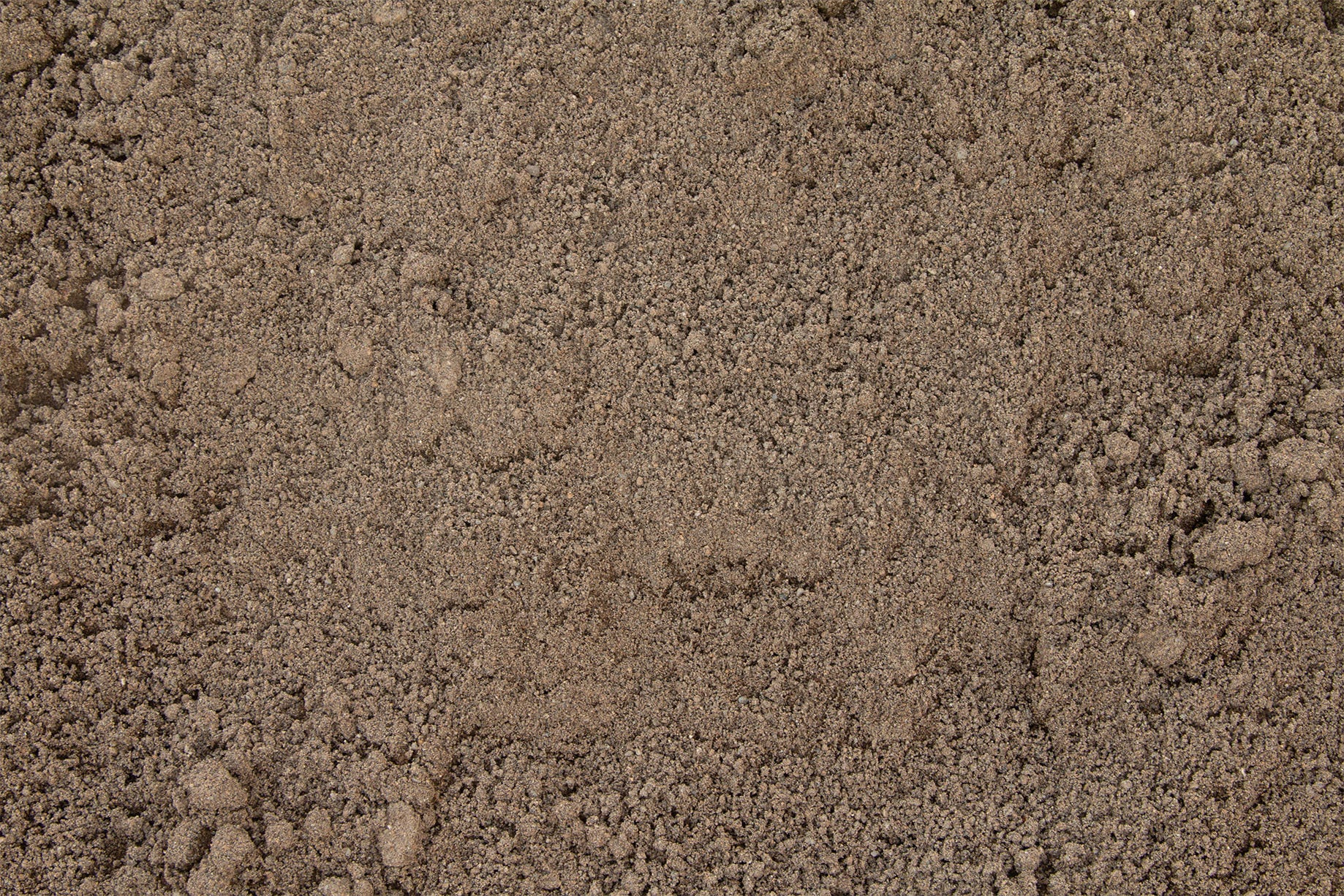 Washed Sand | Bark Ranch